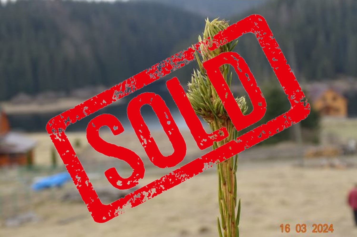 Exclusivitate! Teren Superb cu vedere la lacul Belis! Comision 0% ...